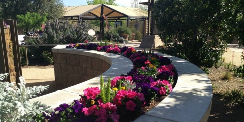 Springs Preserve Las Vegas - Deals & Info | Las Vegas Advisor