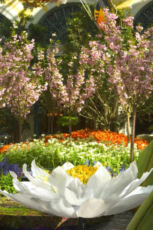 Question of the Day 2006-10-19 | Las Vegas Advisor