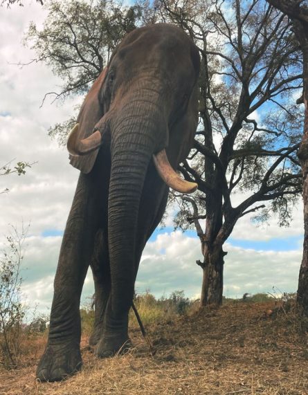 Sphere: Postcard from Earth – Las Vegas Advisor